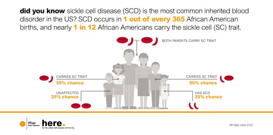 Diving into the Genetics of Sickle Cell Disease - Greater Diversity News